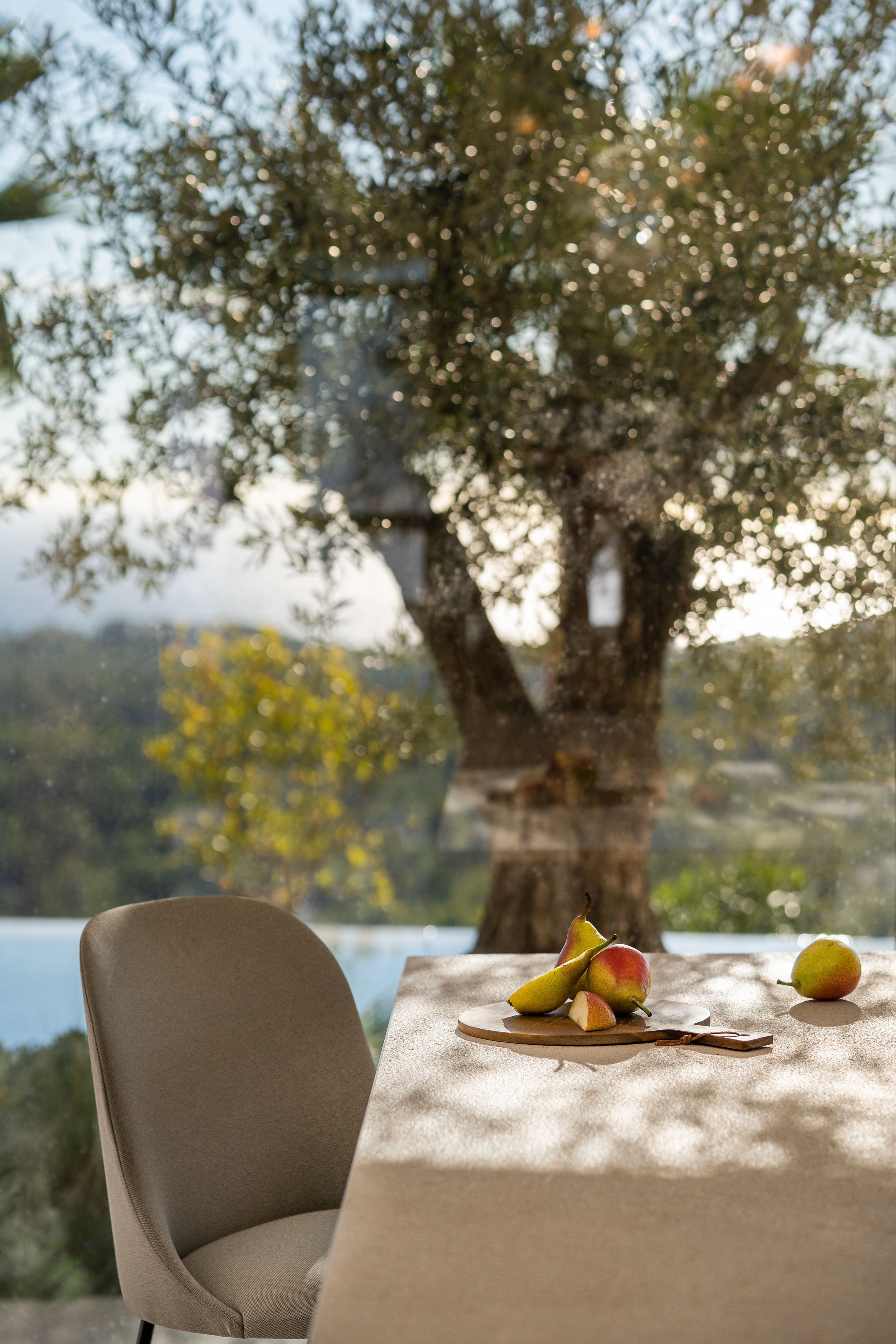 Baladre House - S29 Project - Espacio Home Design